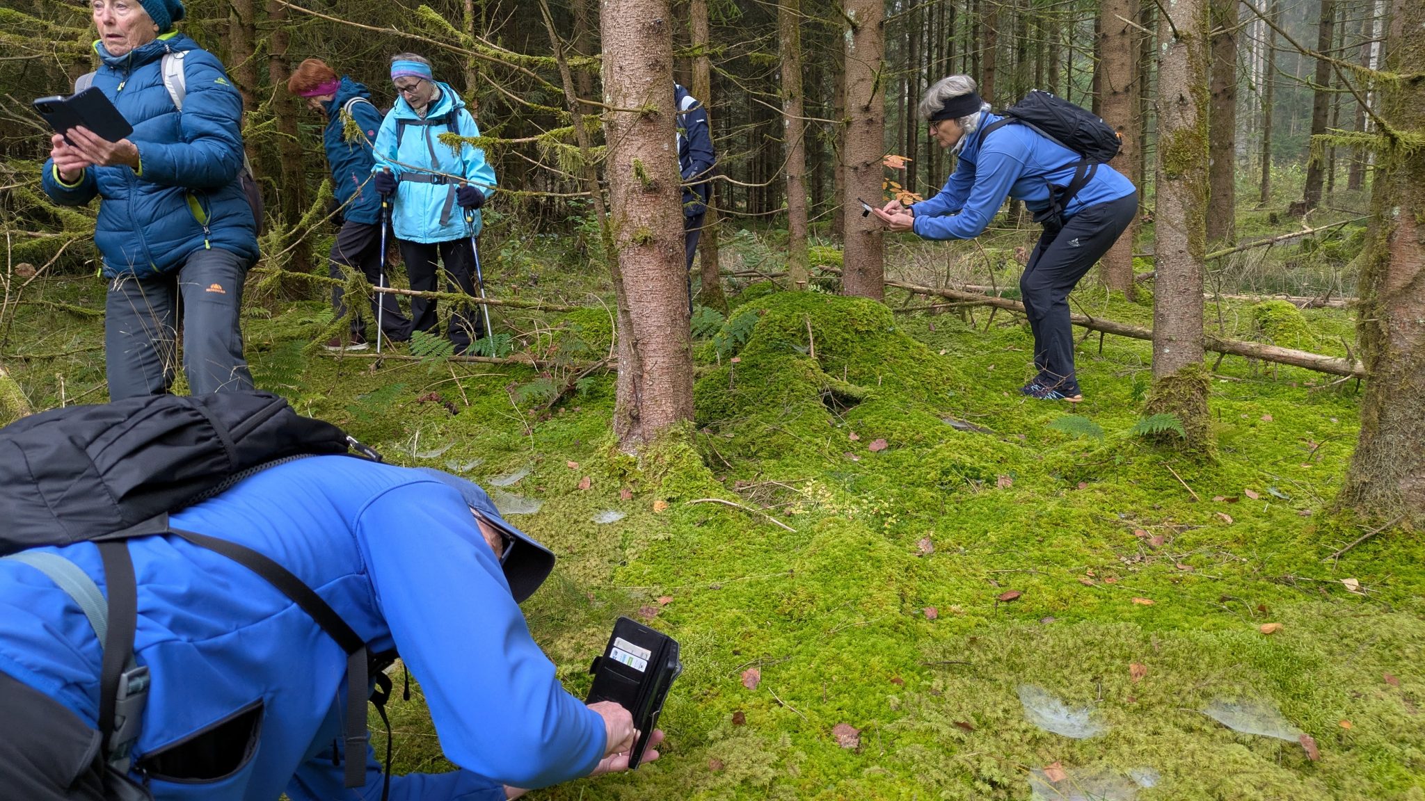 Kann man die essen? | Alpenkranzl Erding